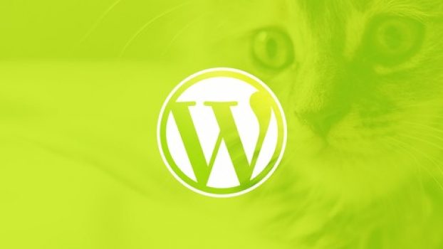 WordPress For Beginners Create A Website Step By Step Relearn Demo Of Learning Course Site 